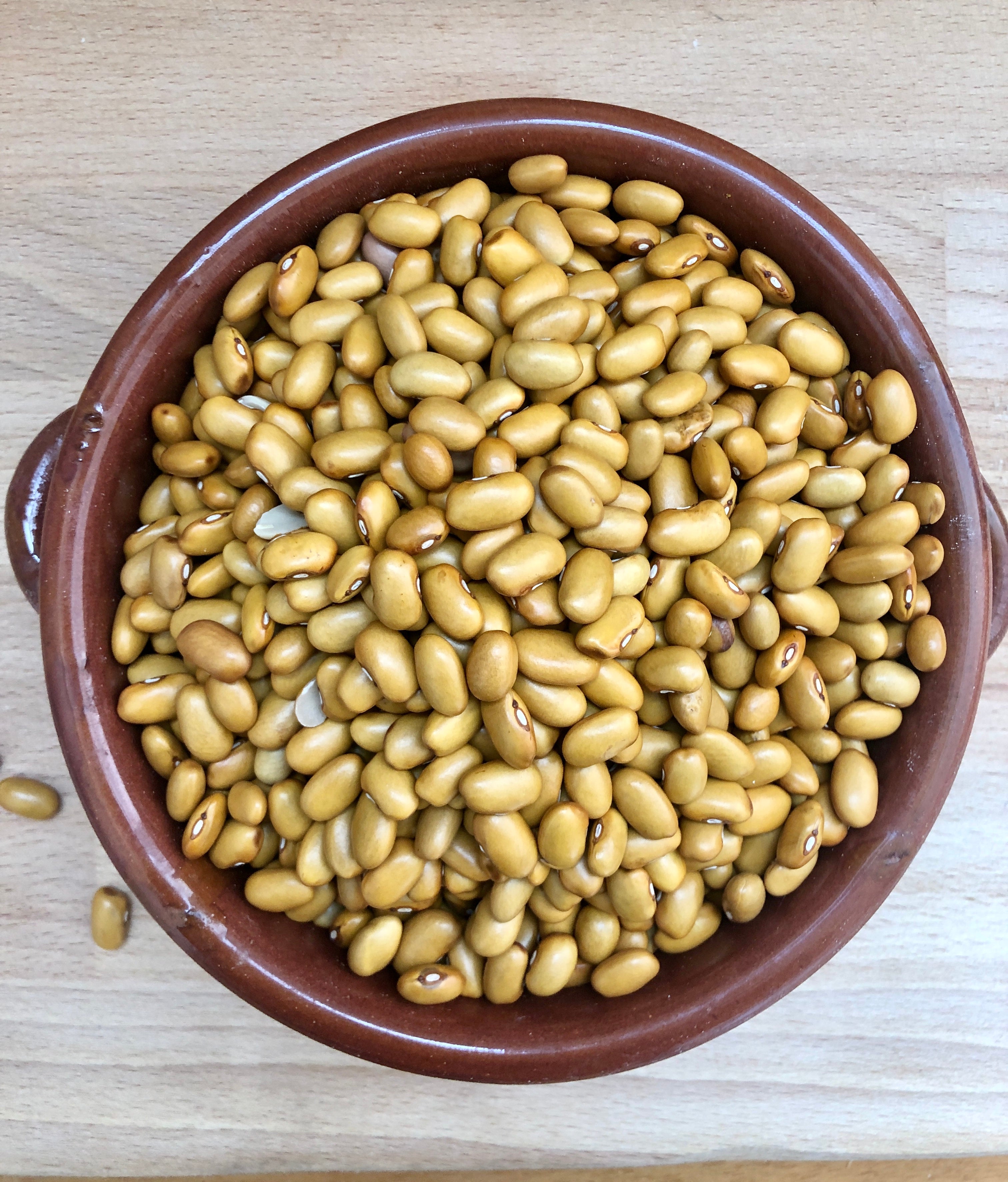 Fagioli Bruni Secchi Naturali – ANTICO EMPORIO AGRICOLO